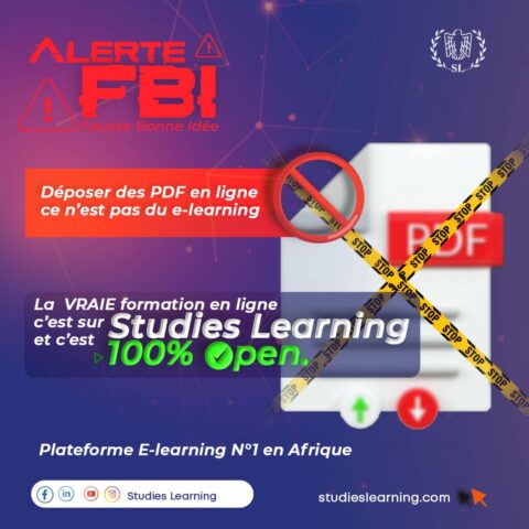 L’E-LEARNING EN AFRIQUE - Studies Learning